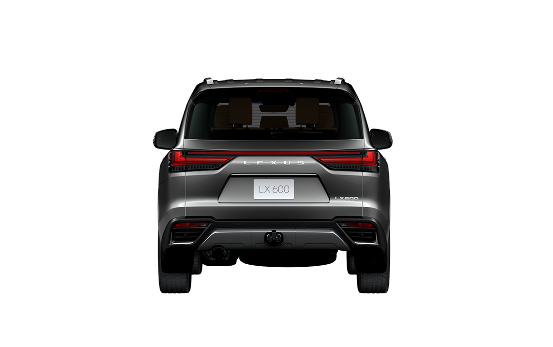 LX600 Platinum